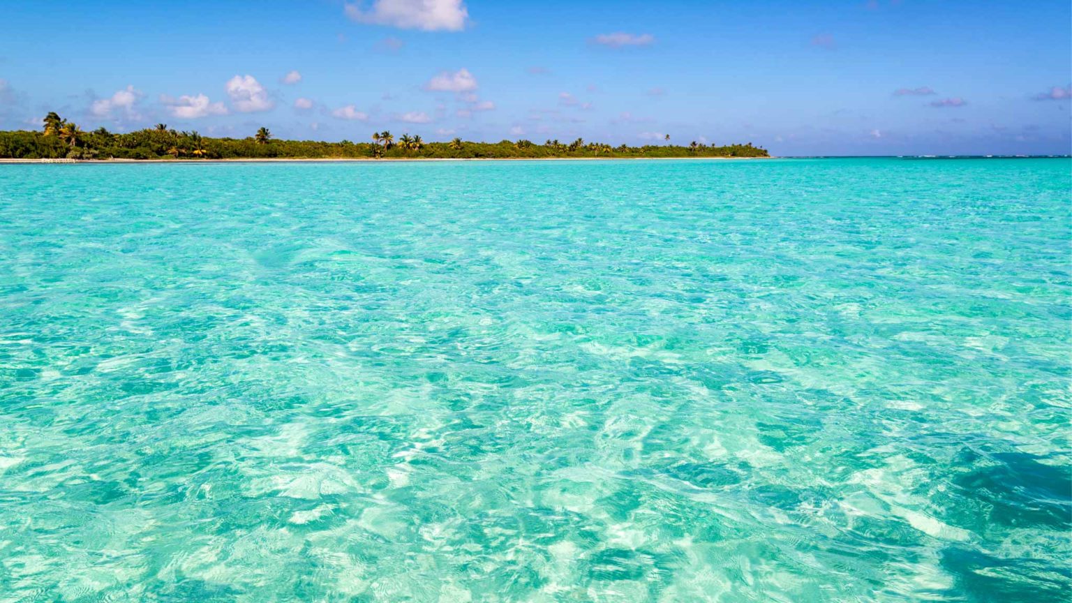 Guide To Punta Allen: Explore Mexico's Hidden Gem (With Video)